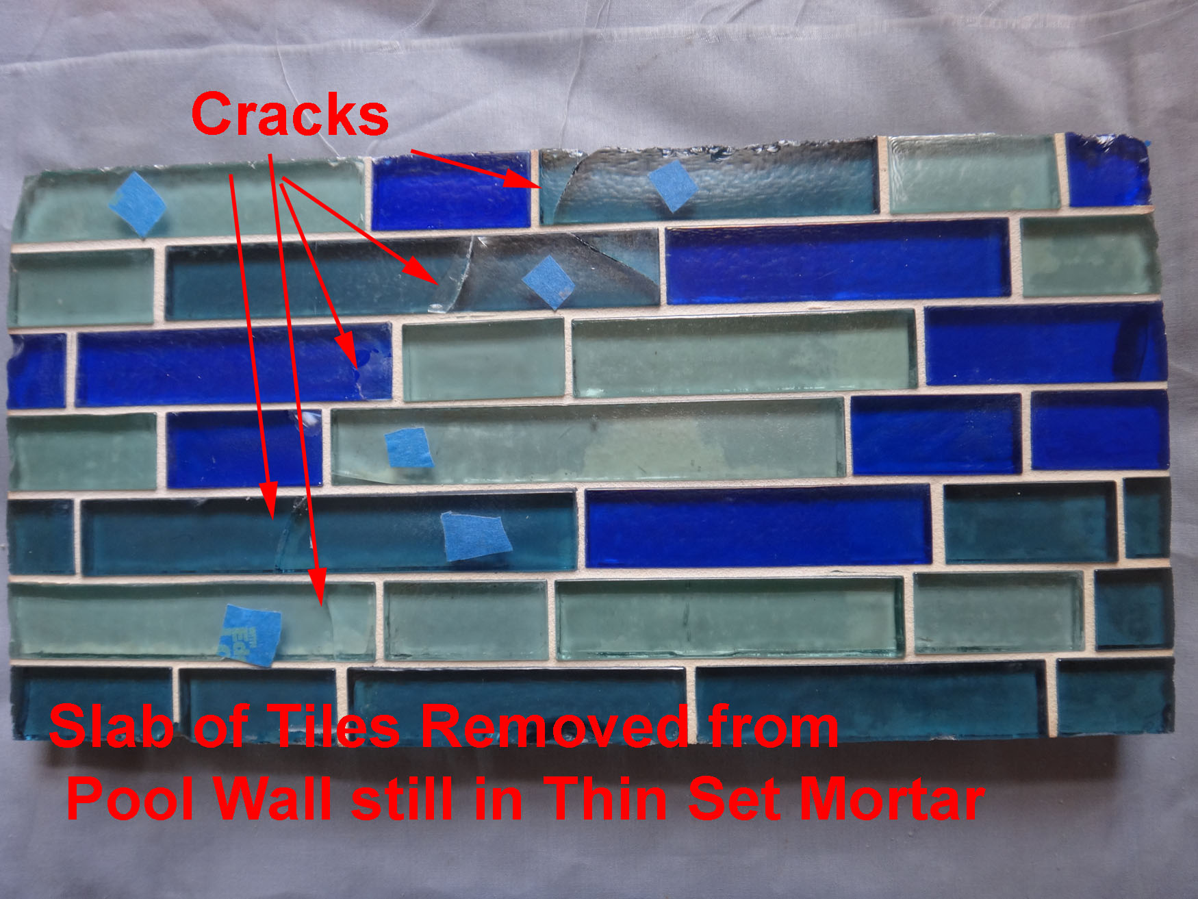 Glass Swimming Pool Tile Failure Analysis | Read Consulting